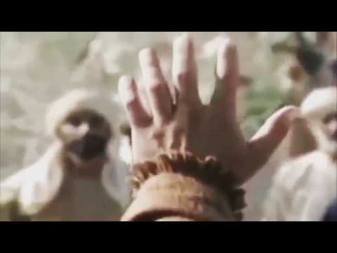 Hezreti Peygemderin (s) Qedir Xumda buyurduqlari kelamlar  Eli (e) mendendir, mende Elidenem.