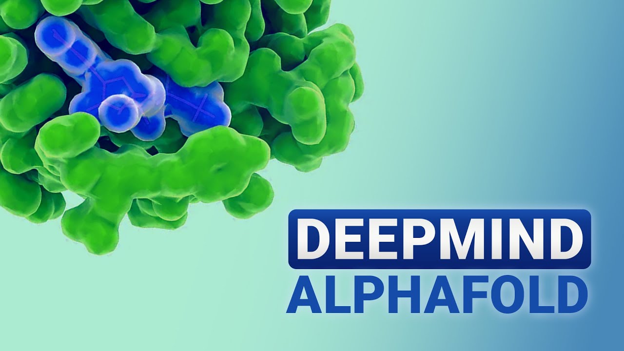 AlphaFold Just Won The Nobel Prize! 🧬 - YouTube