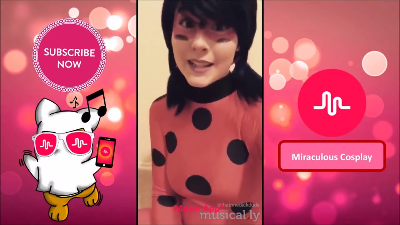 Miraculous Ladybug & Cat Noir Cosplay ToasterTopia, Danny Blake And ...