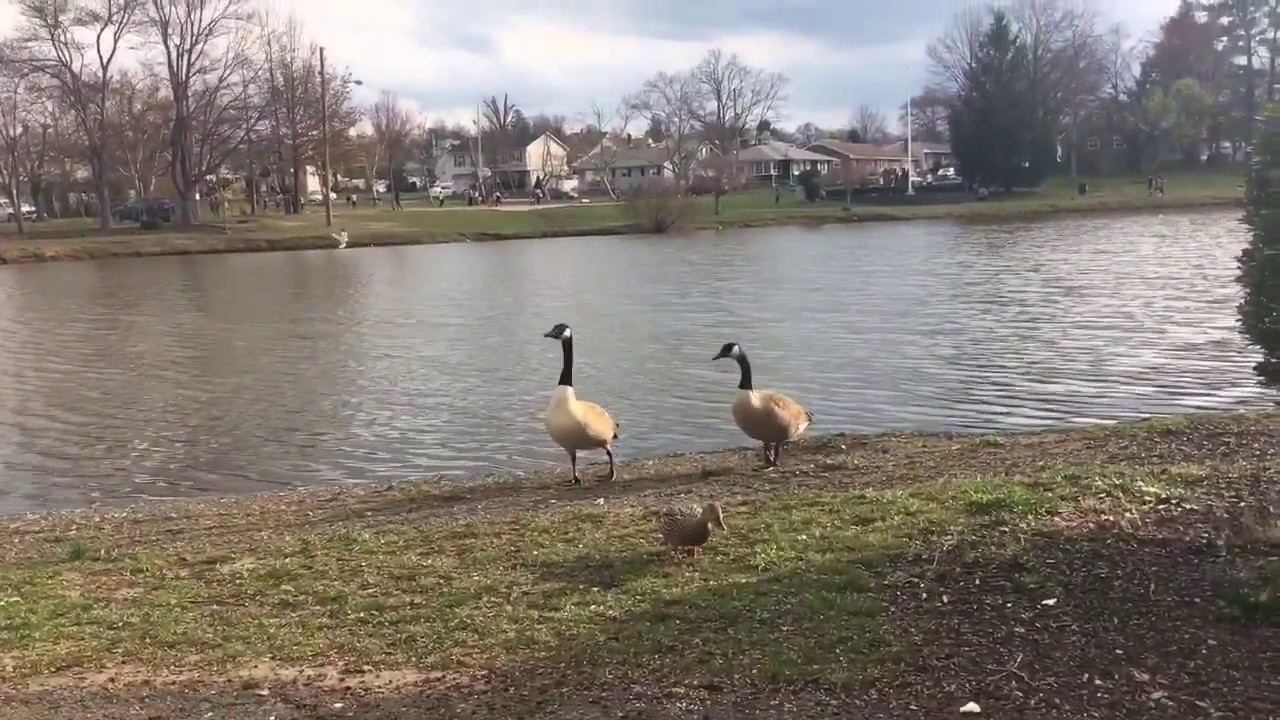 The 10 Days of Spring Break ~Day 1~ - YouTube