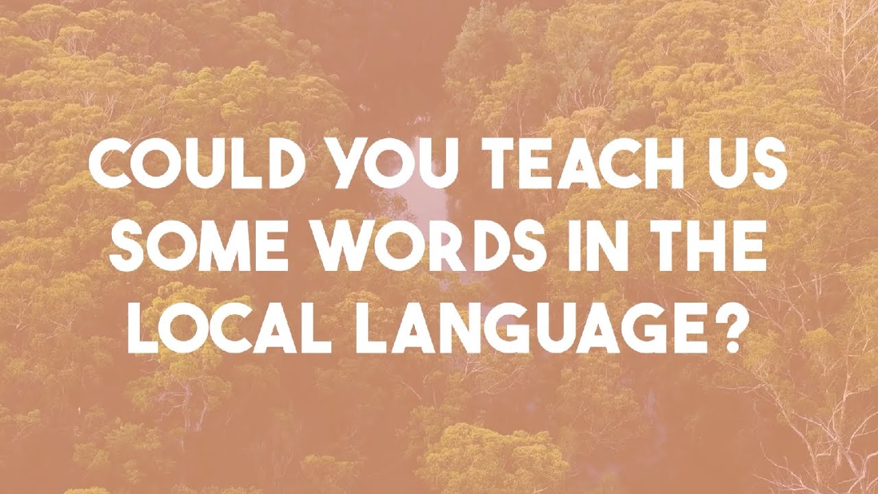 Could you teach us some words in the local language? | Talk on Country ...