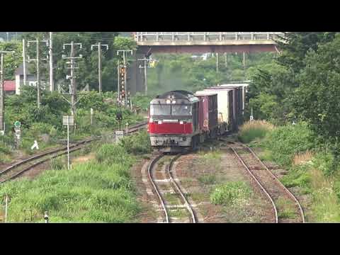レッドベアーDF200-119号機牽引 貨物列車 函館本線 長万部駅 - YouTube