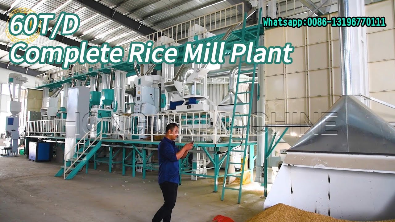 60T/D Rice Process Machine for Sale - Hongjia Rice Mill # ...