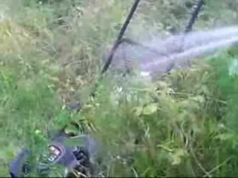 DEADLY WASP ATTACK - YouTube