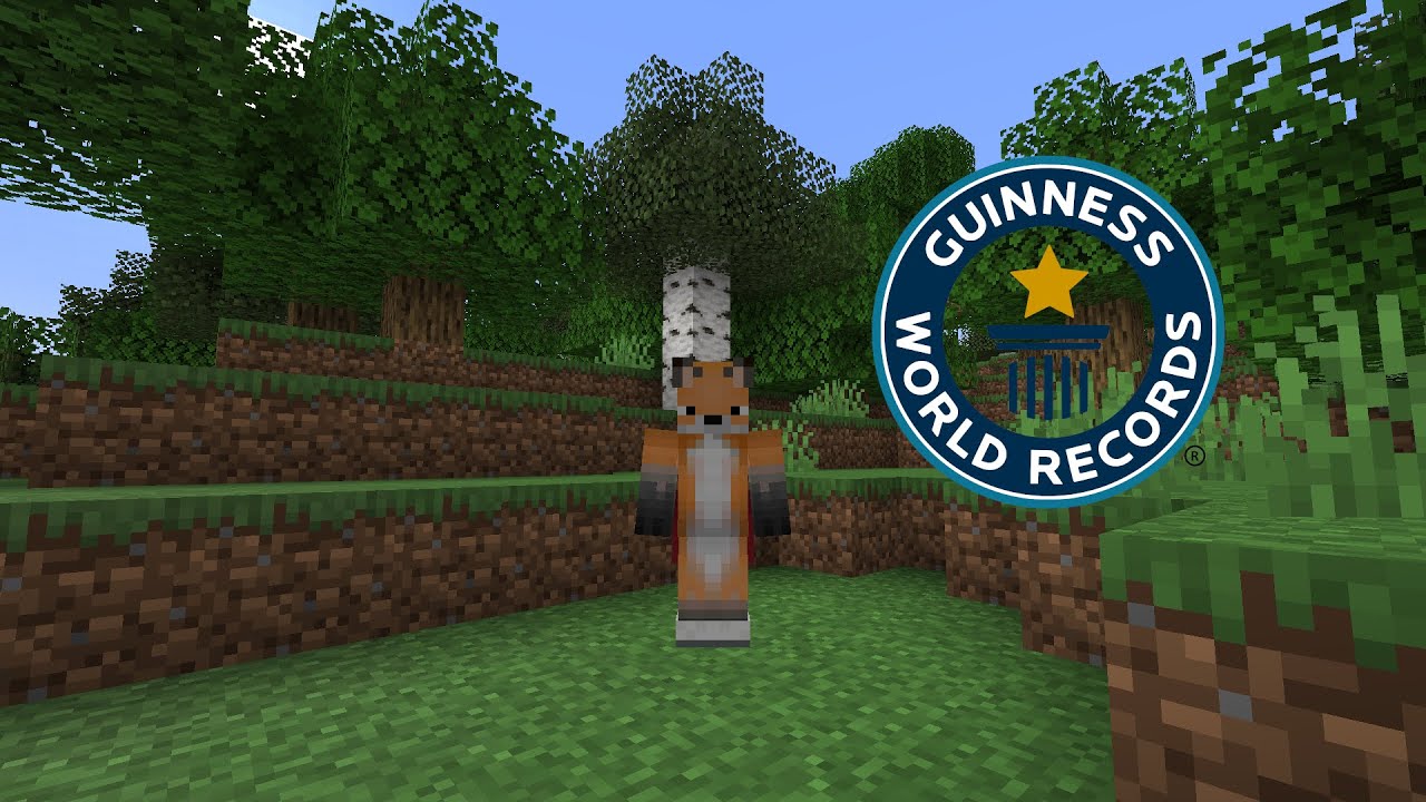 I Beat a World Record in Minecraft - YouTube
