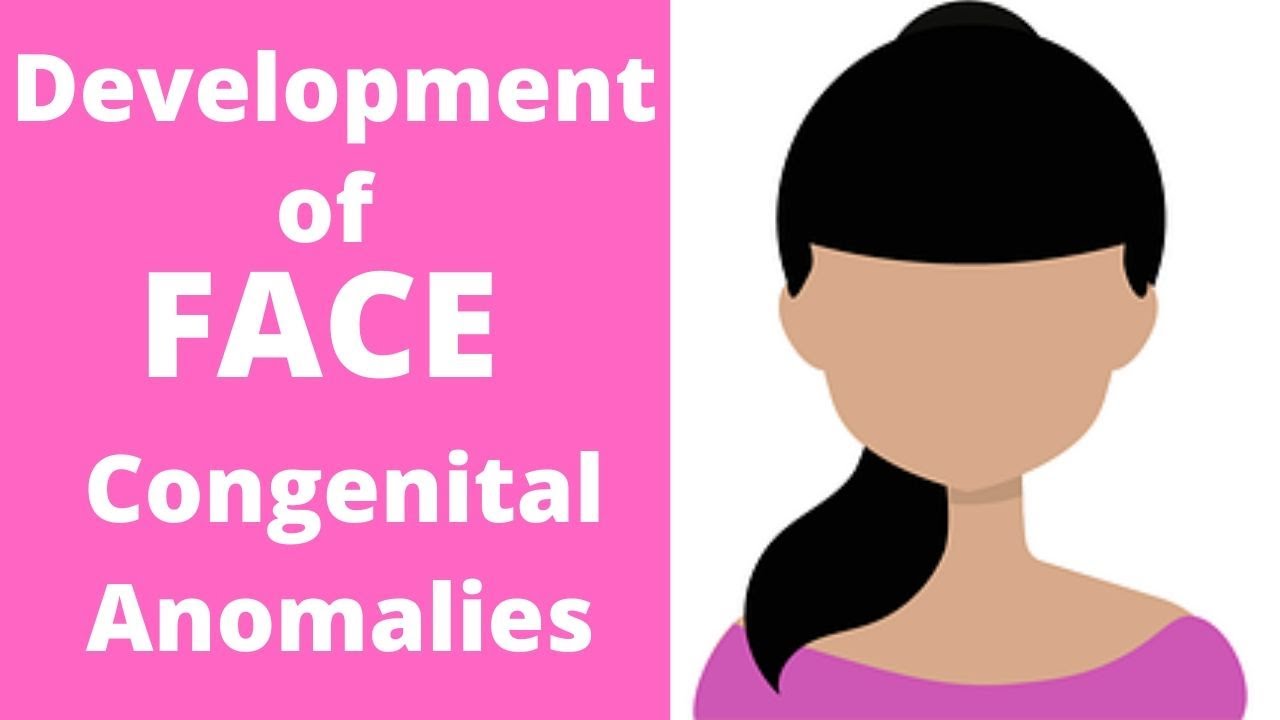 Development of the face | Embryology | Congenital anomalies of the face ...