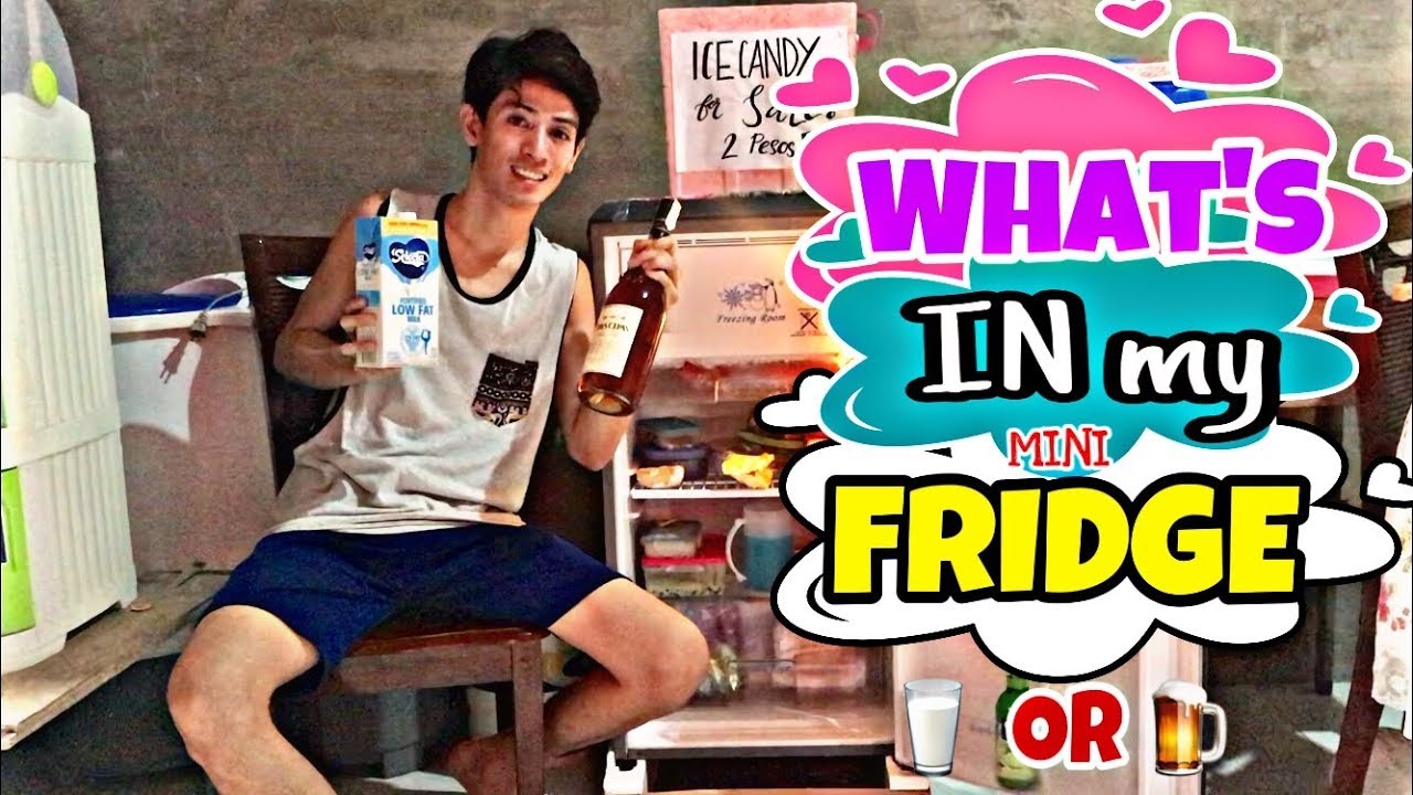 WHAT'S INSIDE MY MINI REF! (ANDAMING LAMAN!) - YouTube