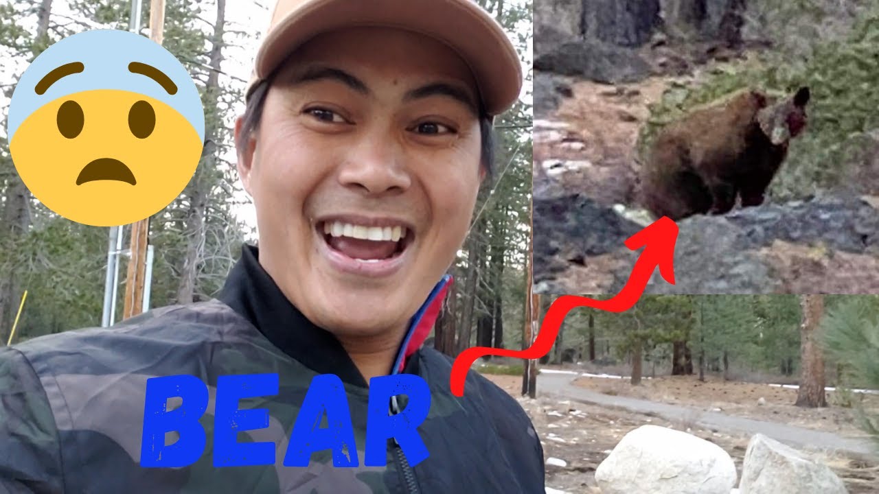 How We re Spending Our Time Apart YouTube how-we-re-spending-our-time-apart-youtube