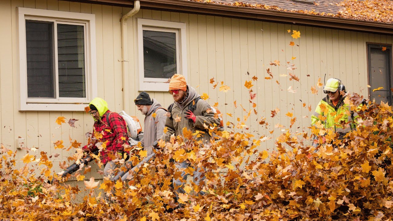 Massive Fall Cleanup (Week 7) - YouTube