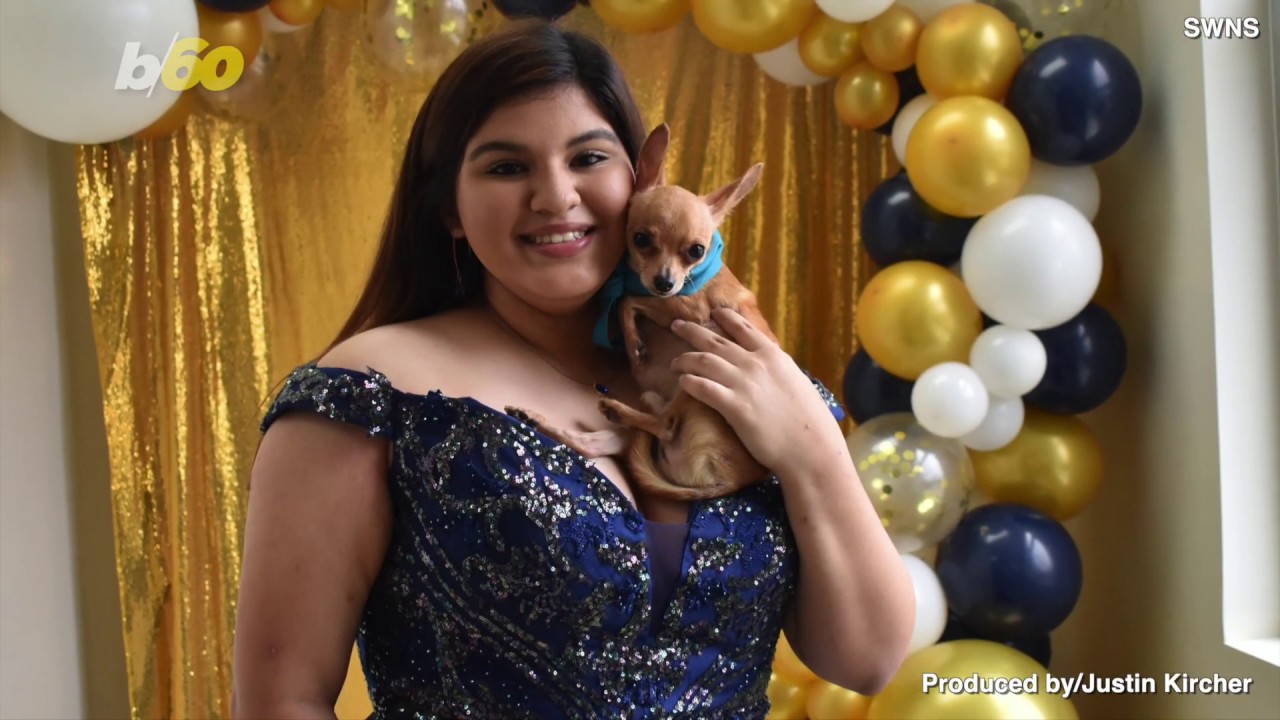 ‘Let’s Dance! And Bark!’ Animal Prom Held for TX Students Who Missed ...