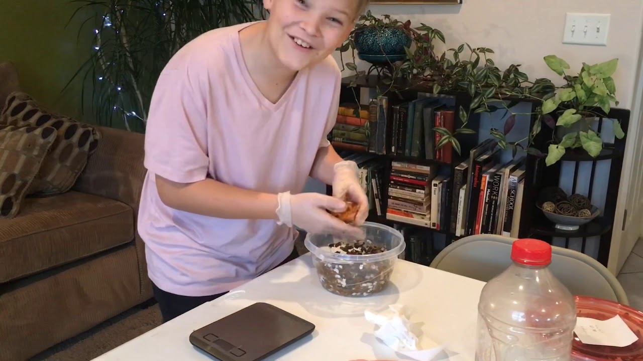 Jack’s Smelly Worm Science Fair Project - YouTube