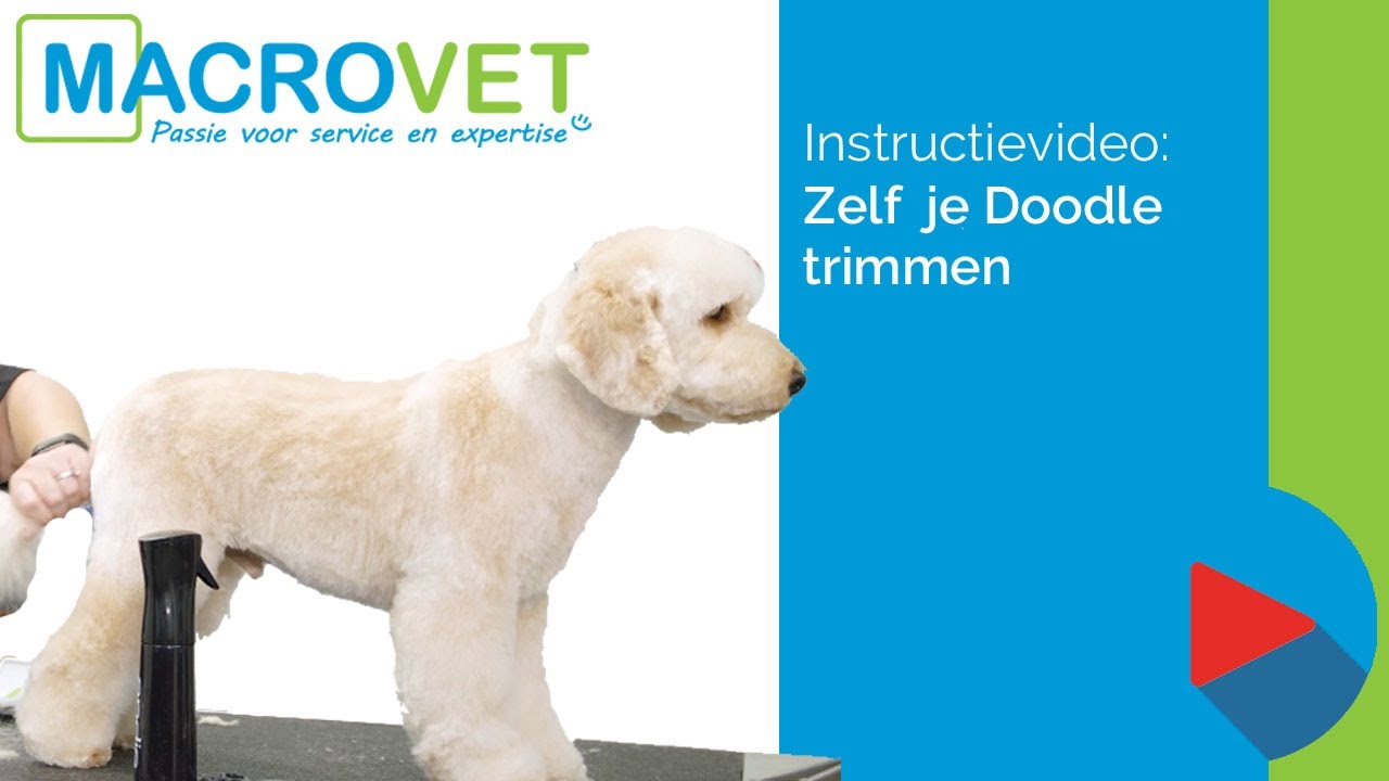 Instructie video: Zelf gemakkelijk je Doodle trimmen - YouTube