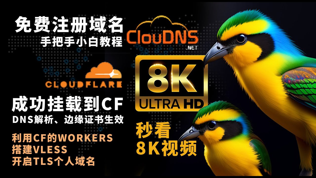 [3]注册免费域名ClouDNS，并在Cloudflare托管解析，挂载解析DNS，激活边缘证书txt，在CF的Workers概述搭建vless，开启触动器绑定个人域名，开启TLS，看8k视频 ...