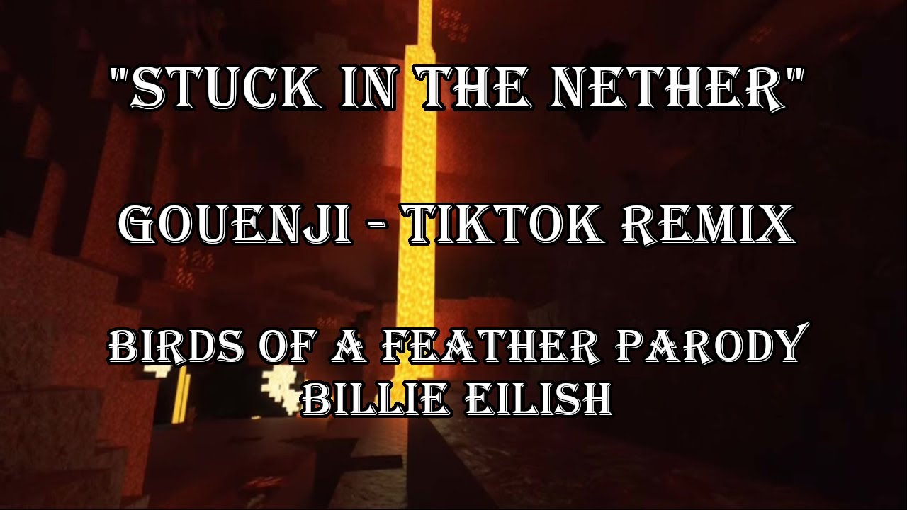 gouenji - "STUCK IN THE NETHER" TikTok parody remix - YouTube Music