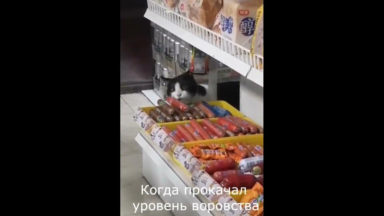 Жулик не воруй Youtube