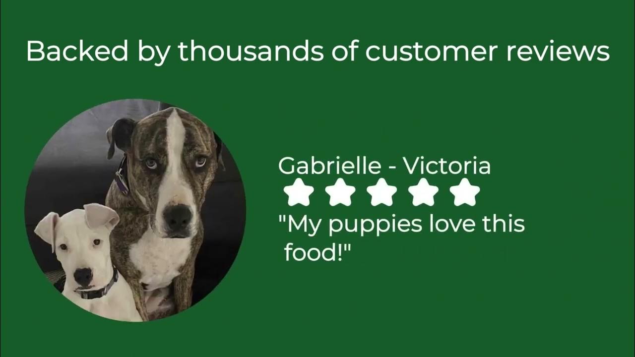 Premium Pet Food Brands Budget Pet Products YouTube premium-pet-food-brands-budget-pet-products-youtube