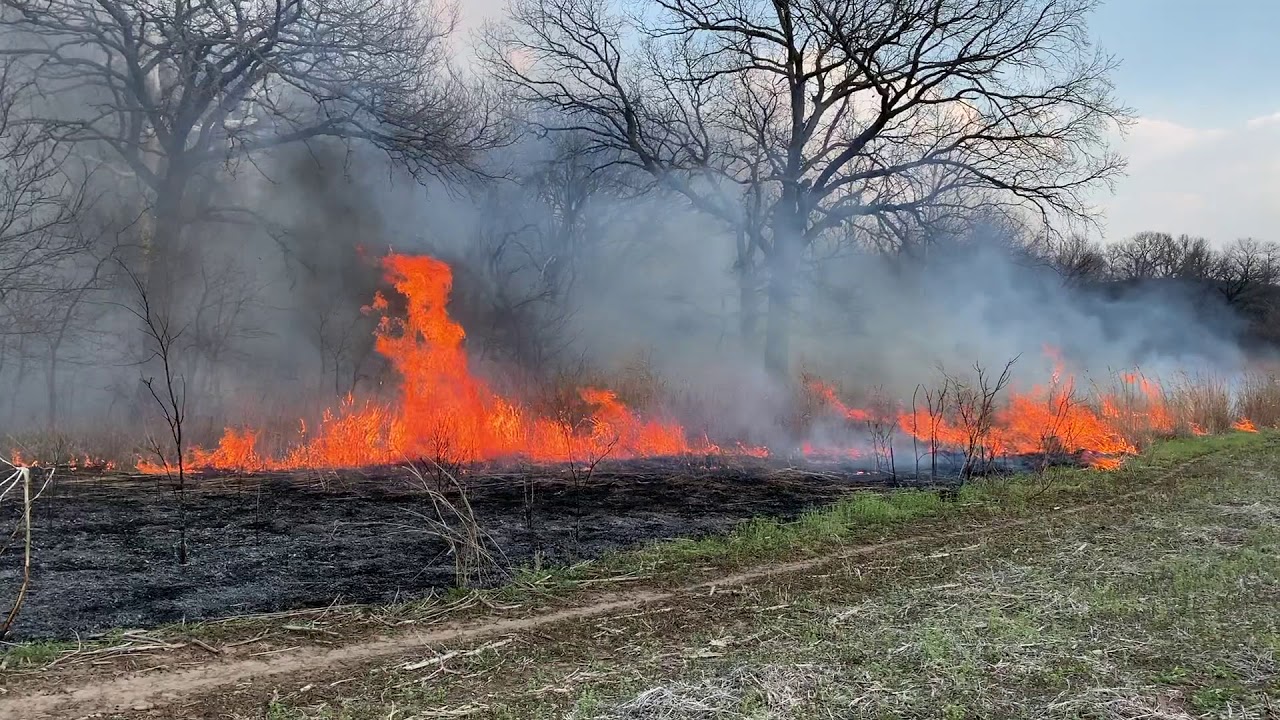 Burning the Pasture! - YouTube