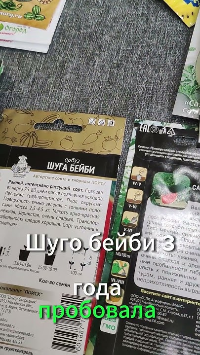 Любимые сорта арбузов. Почему не выращиваю Шуга Бейби #арбуз #огород ...