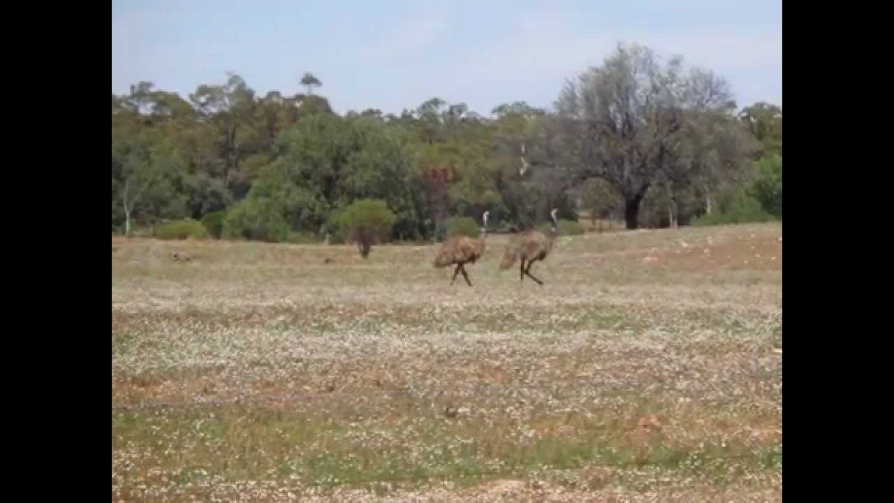 Pilliga Scrub To Broken Hill - YouTube