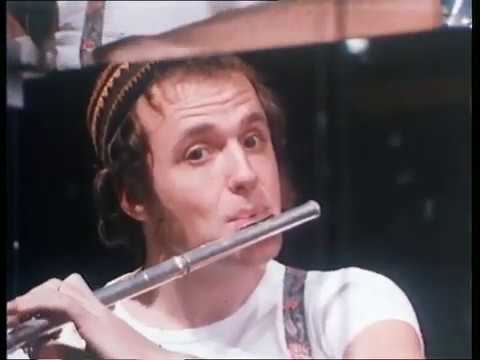 Focus - House of the King