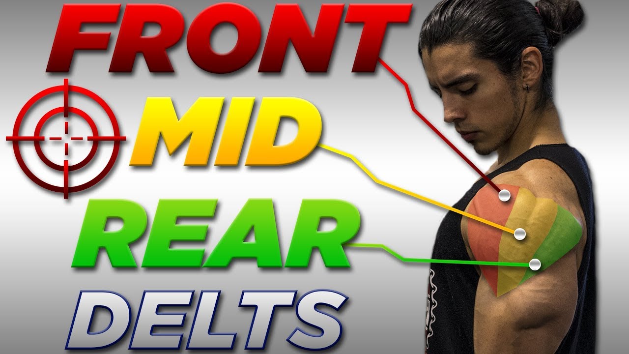 BEST Shoulder Exercises For Growth (Target Each Delt) - YouTube