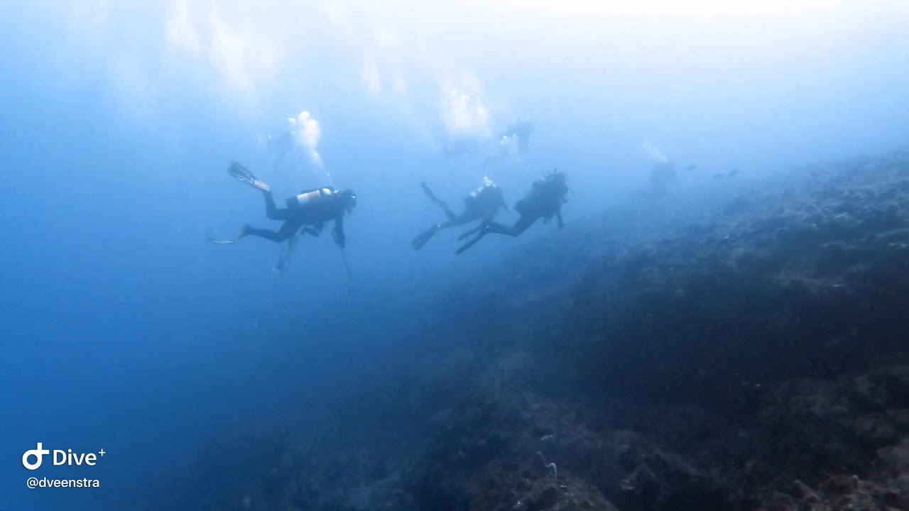 Drift Dive (Part 2), Jupiter, FL, May 30, 2020 - YouTube