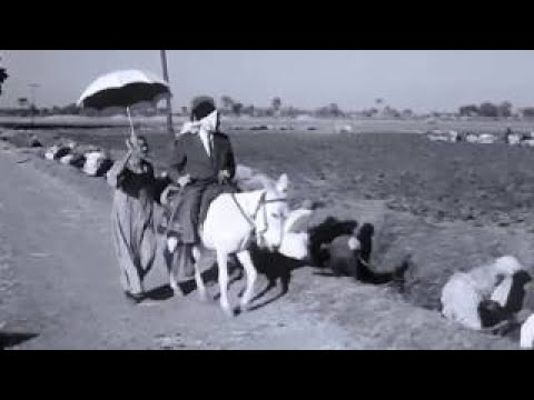 05 - فيلم الحرام 1965 DVBRip MkV-X264 تأليف يوسف ادريس