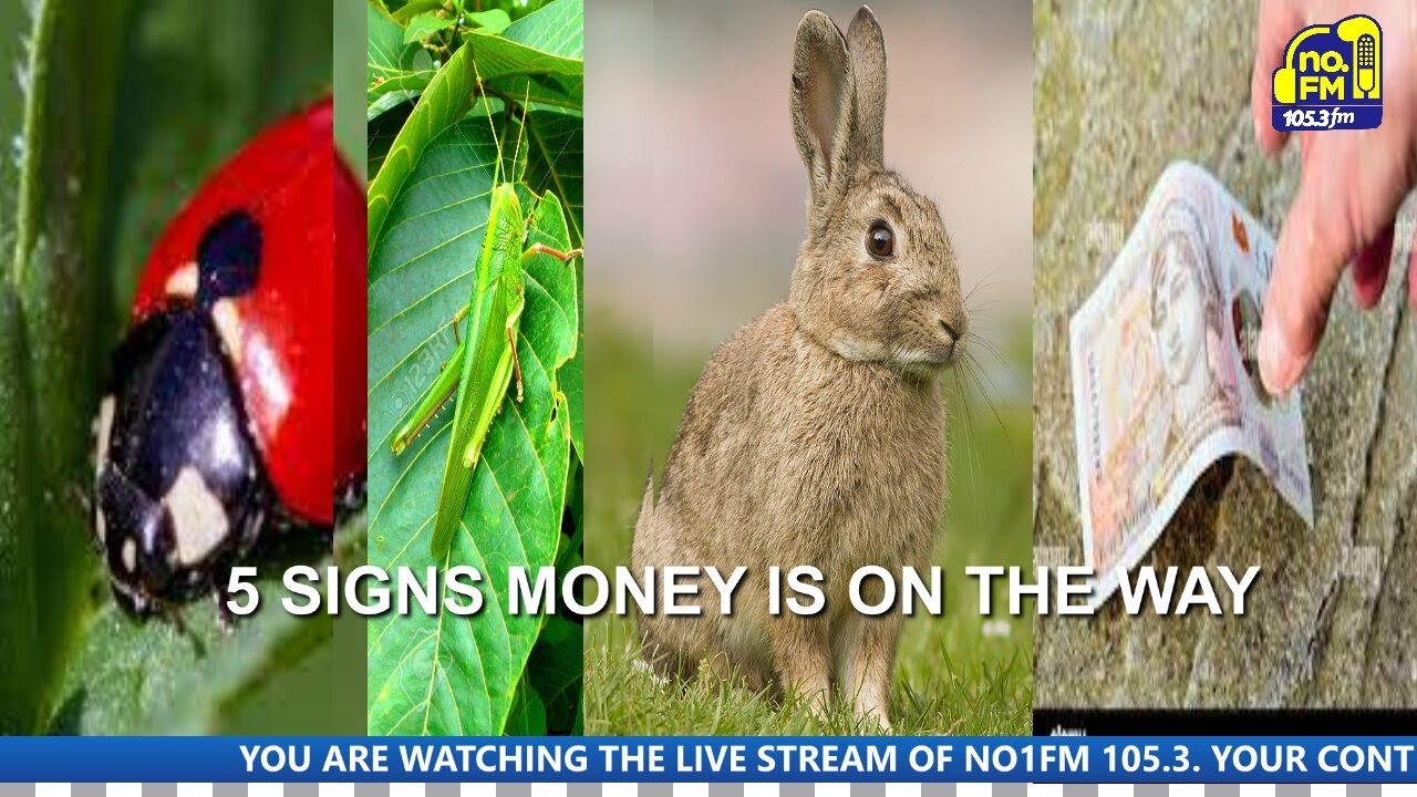 5 SIGNS MONEY ON ITS WAY COMING -PART 2 - YouTube
