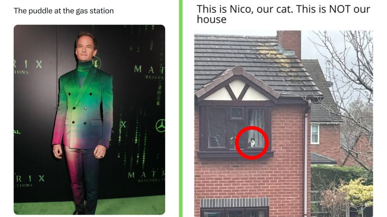 Funny Memes 86 | This is Nico, our cat. This is NOT our house - YouTube
