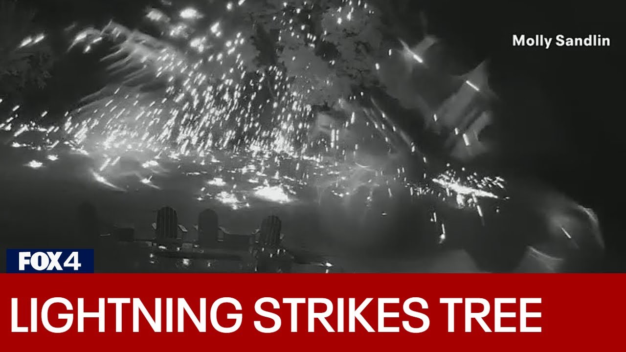 Lightning strike sends tree bark flying - YouTube