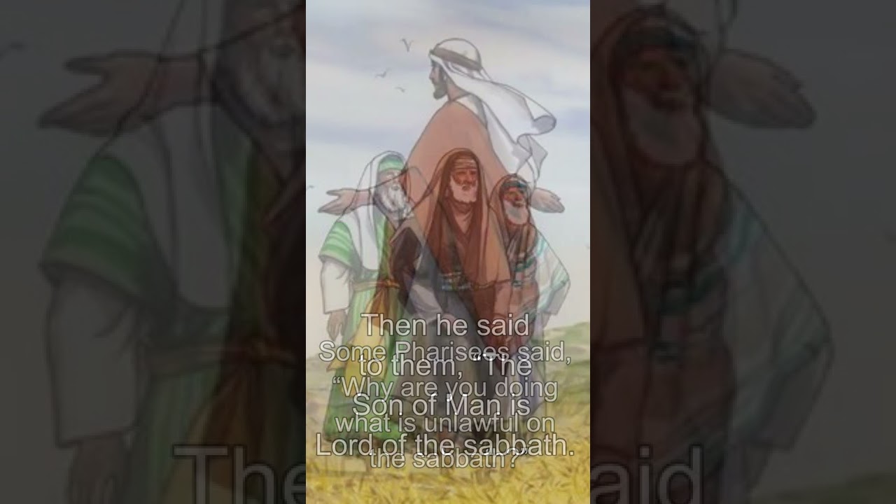 The Son of Man is Lord of the Sabbath | Bible Verse of the Day - YouTube
