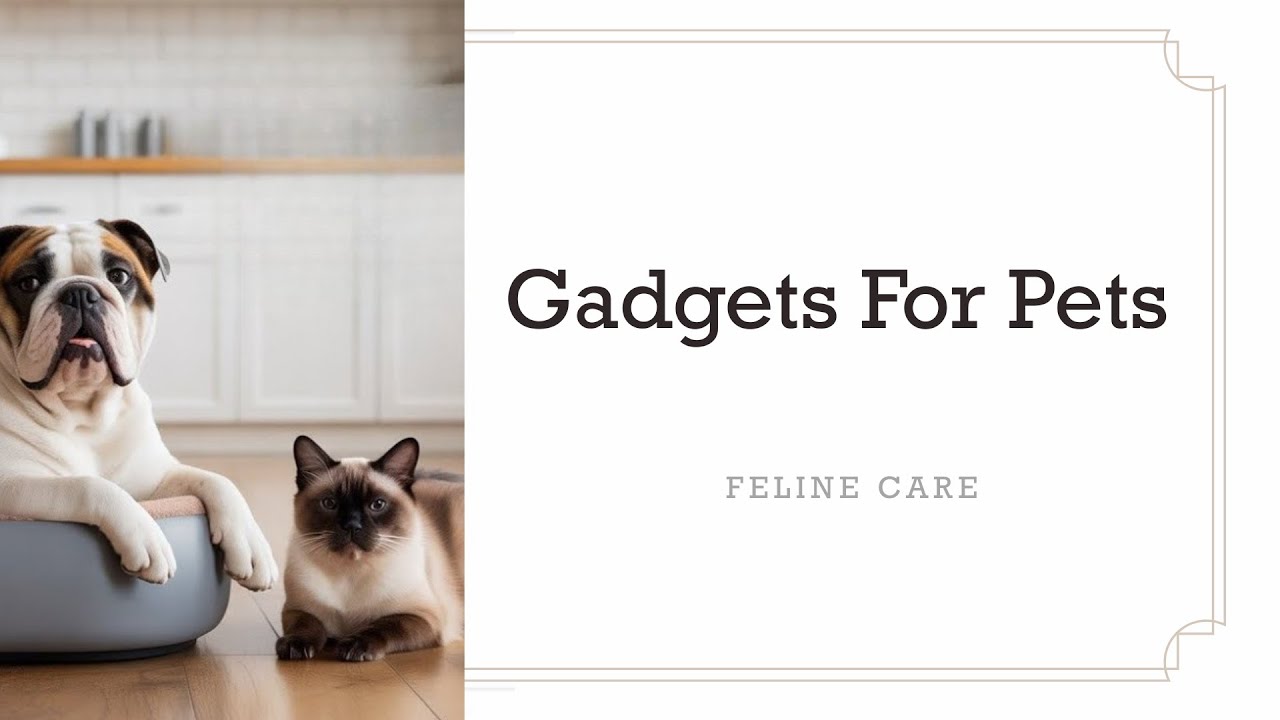 The Future of Pets: Smart Gadgets for Furry Friends - YouTube