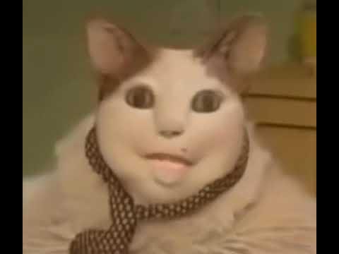 bouh tu as peur n aie pas peur - YouTube