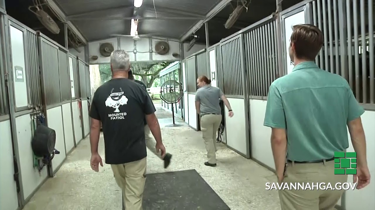 Dirty. City. Jobs. - Mounted Police Patrol - YouTube