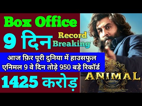 Animal Box Office Collection | Animal 8th Day Collection, Animal 9th ...