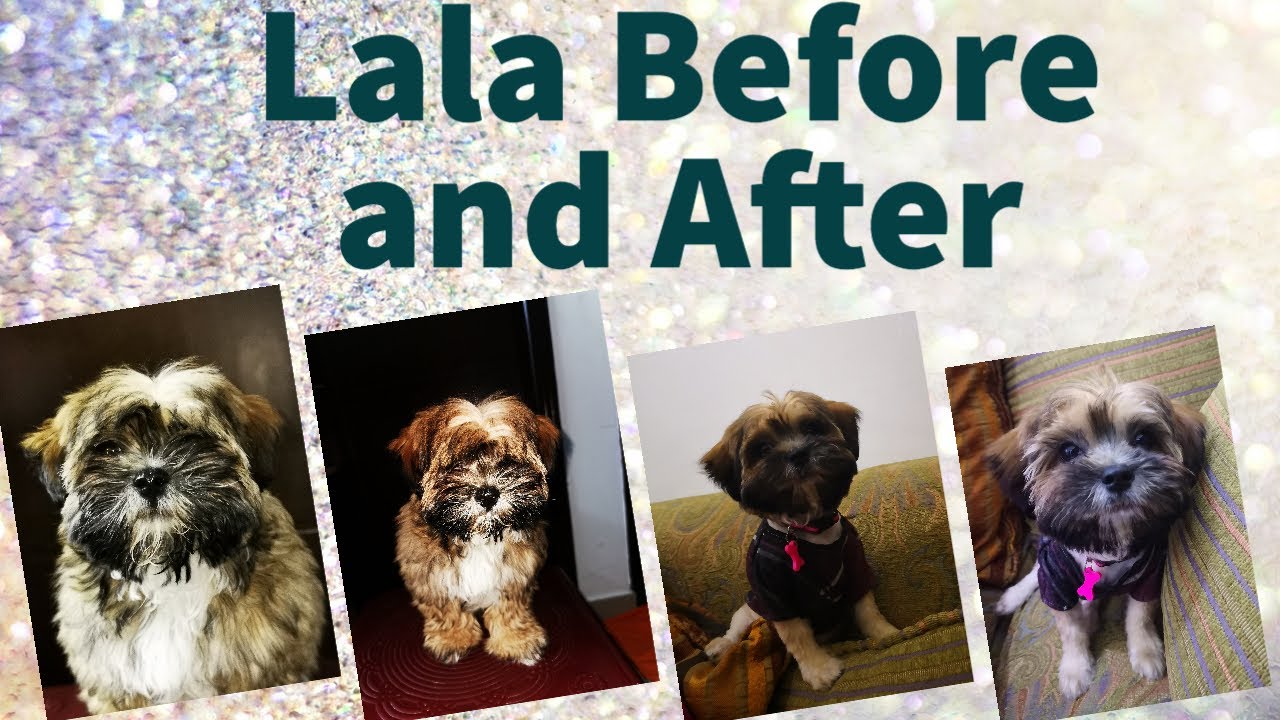 Lala Before and After - YouTube