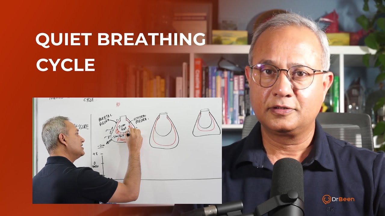 Quiet Breathing Cycle - YouTube