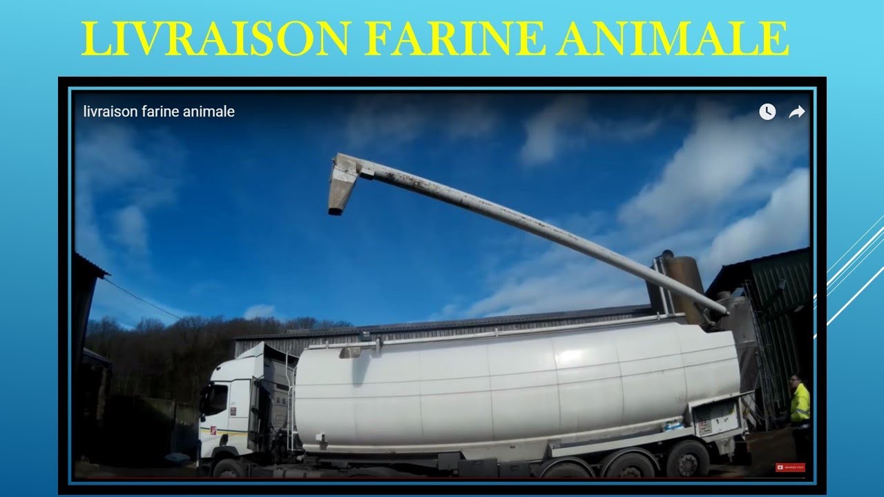 livraison farine animale - YouTube