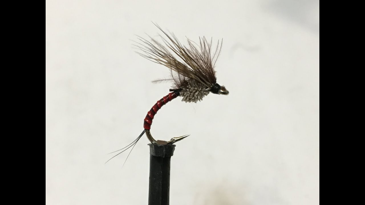 may fly emerger - YouTube