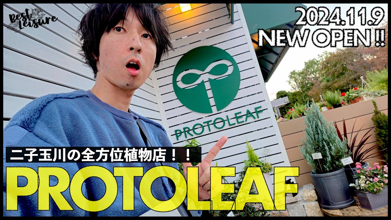 【PROTOLEAF】二子玉川に再オープンしたお店が珍奇植物好きにはたまらないラインナップで財布の紐が弾け飛んだ｜園芸店｜多肉植物｜塊根植物｜アガベ｜パキポディウム｜ユーフォルビア - YouTube