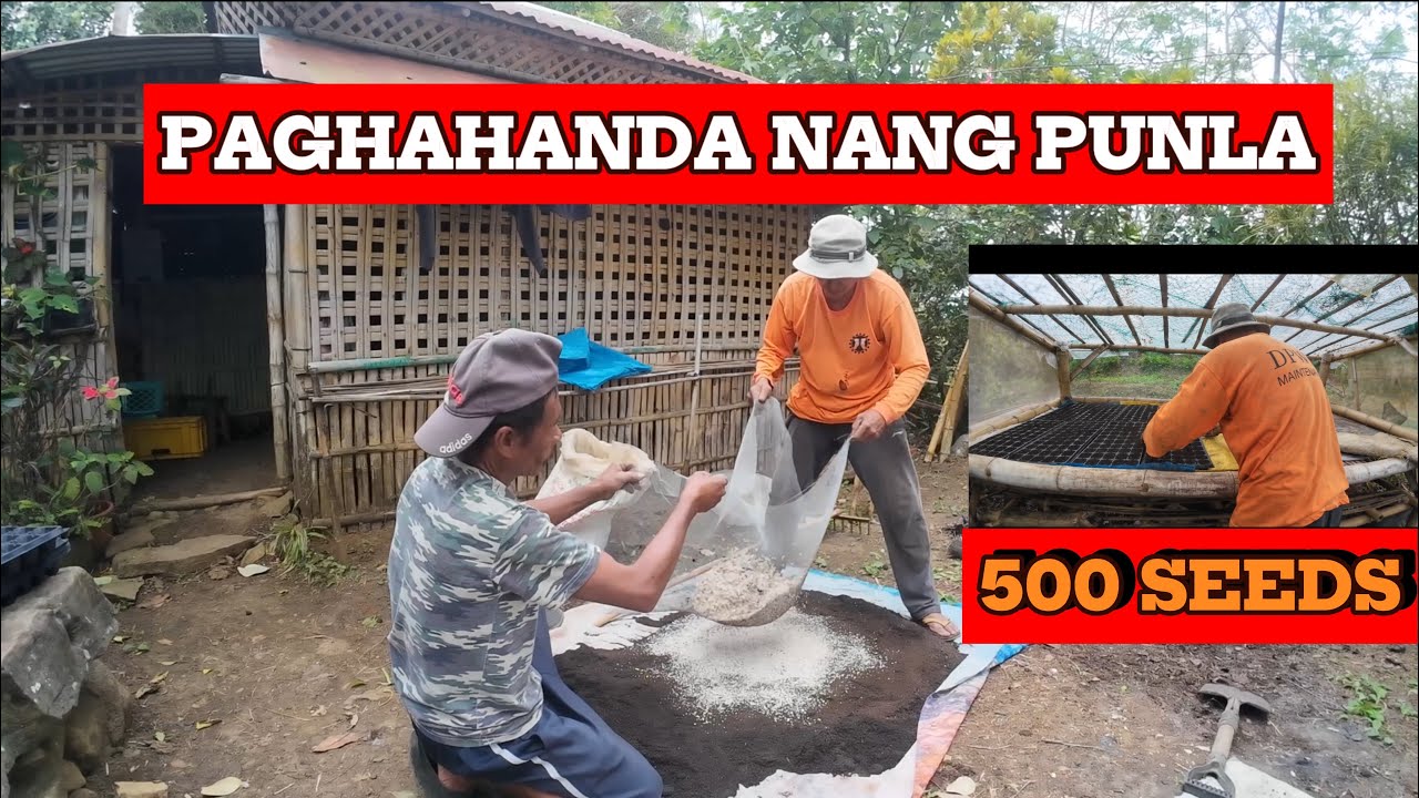 MATABANG LUPA DAPAT - YouTube