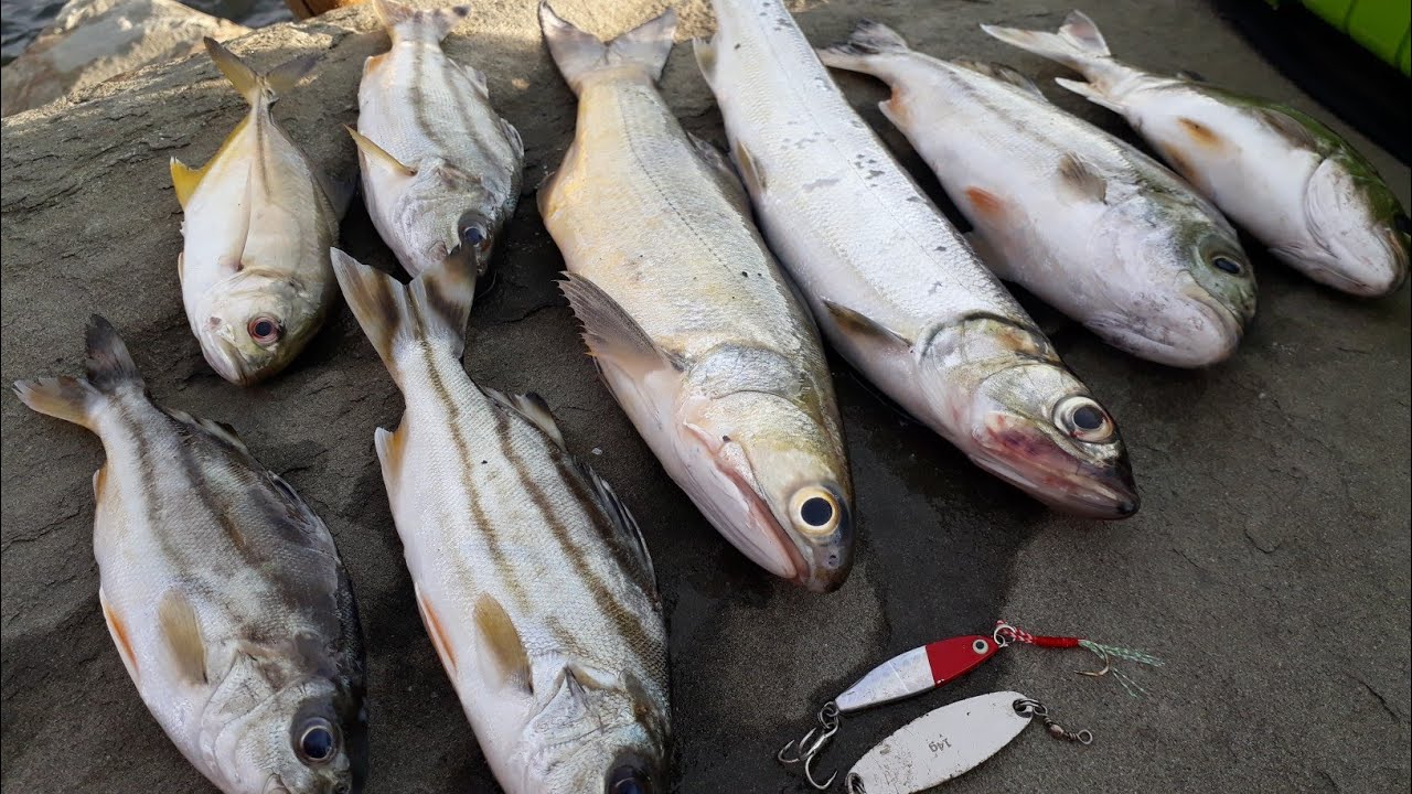 MANILA BAY FISHING ADVENTURE | ISDA SA MANILA BAY DUMADAMI NA - YouTube