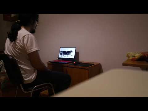 DANS EDEN POLONYALI İNEĞİ POLONYADA İZLİYORUM