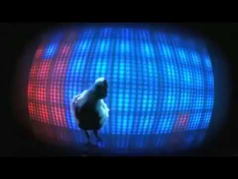 Tavuk şarkısı çok komik