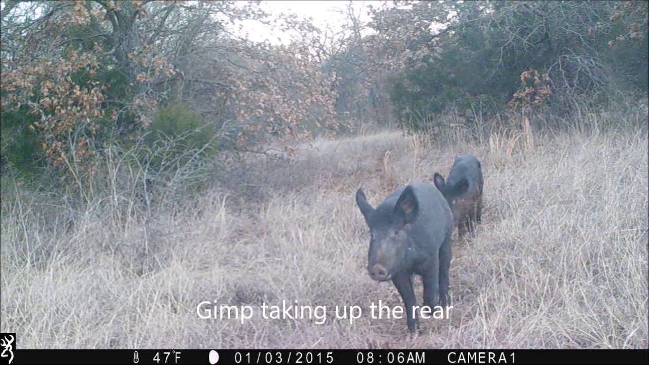 Jan Movie #2 - YouTube