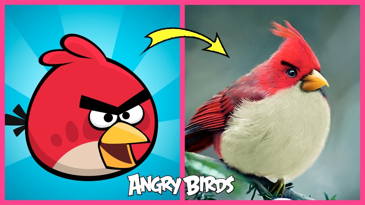 Angry Birds in Real Life 🌟 Main Characters @PuppyShow - YouTube