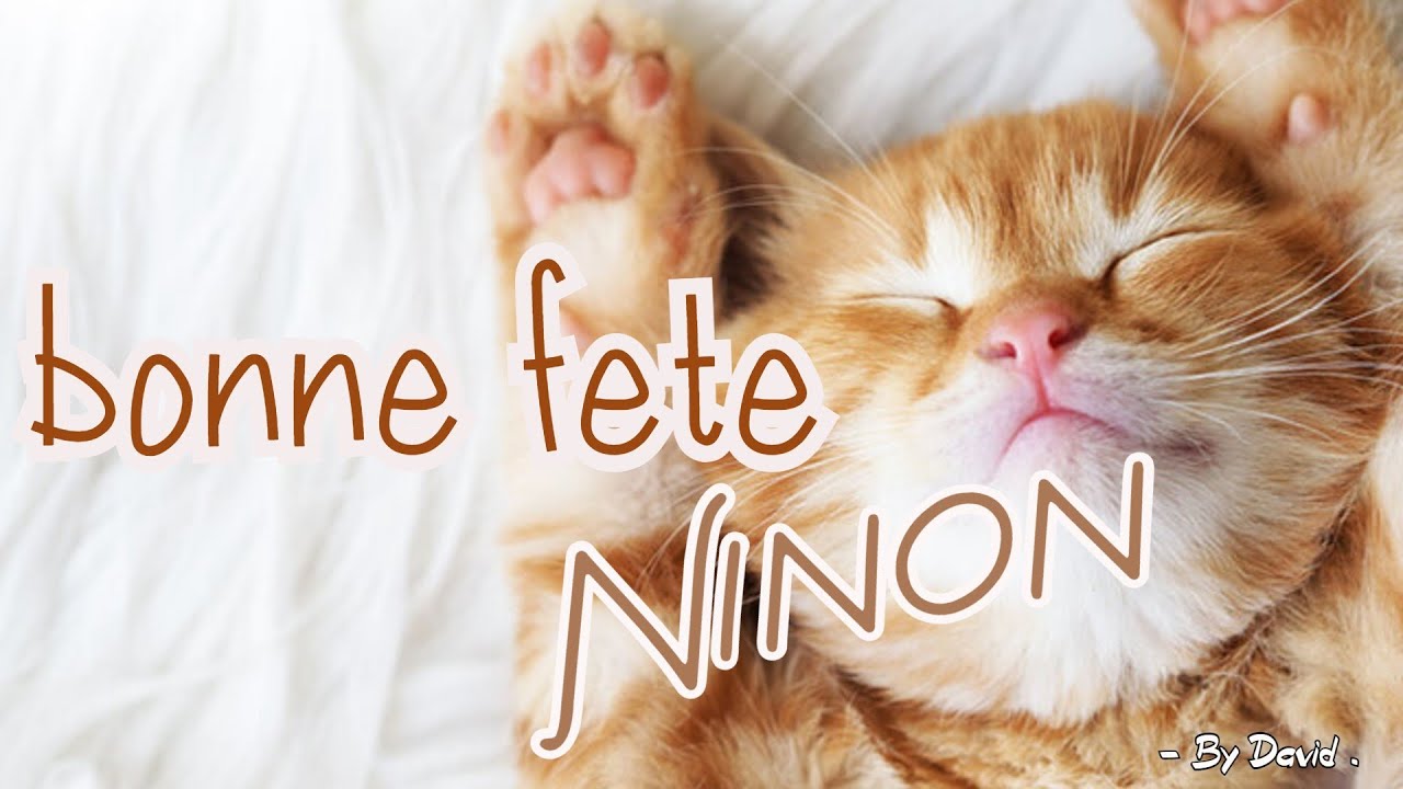 Bonne Fete Ninon avec enseigne lumineuse A4 Cebrating Ninon name with ...
