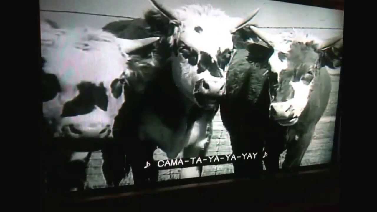 "Cow Cow Boogie", courtesy of Pee Wee's Playhouse - YouTube