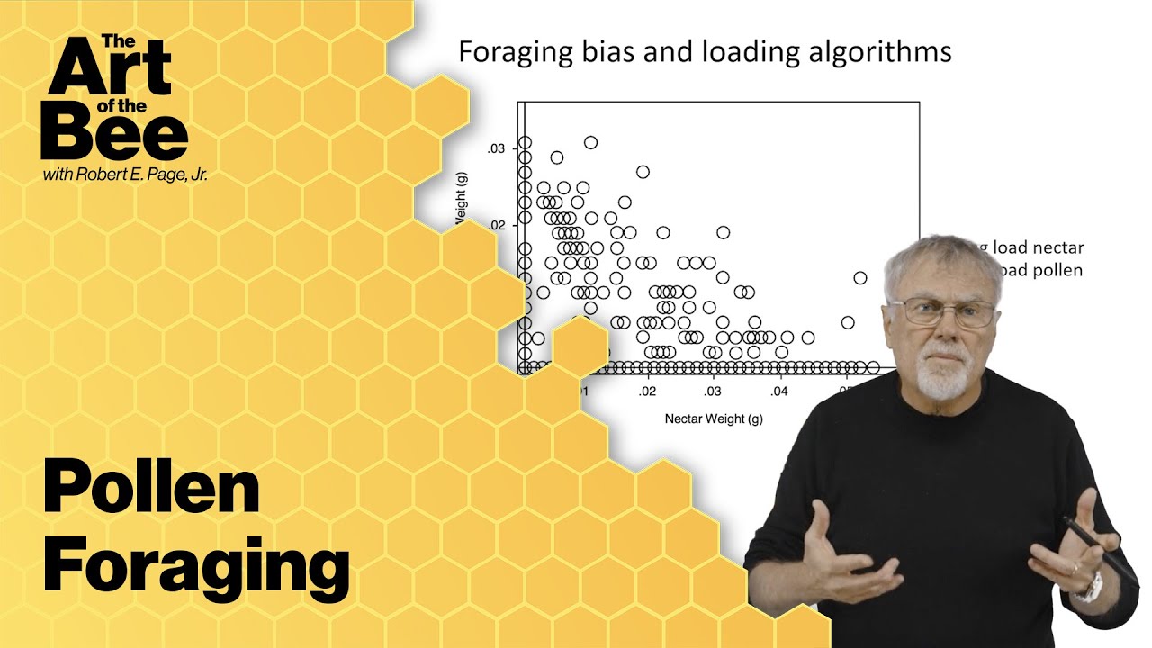 EPISODE 8: Pollen Foraging - YouTube
