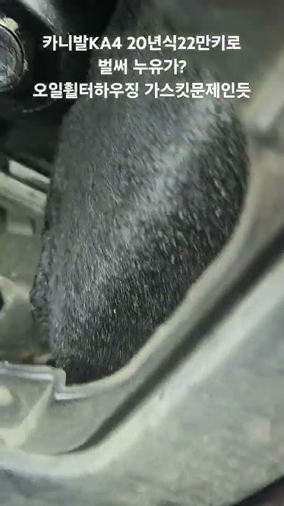 카니발KA4 20년식22만키로/오일교환차 방문/오일누유가 있어 확인해보니?/오일휠터하우징누유/물건주문해놓겠습니다/#카니발KA4#오일누유#키로수대박 - YouTube